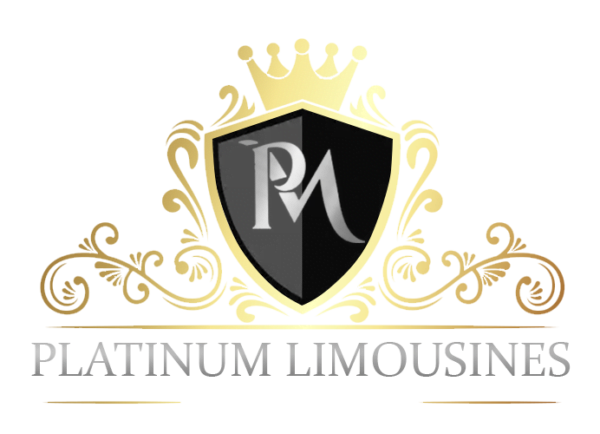 Travelling with Luggage in Singapore: Maxi Cab vs Luxury MPV Explained ...